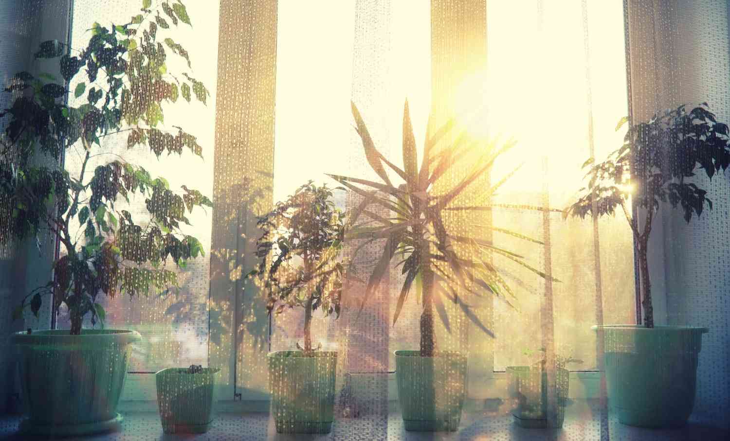 Importance of Natural Light in Interior Design - Benefits, Sunlight ...